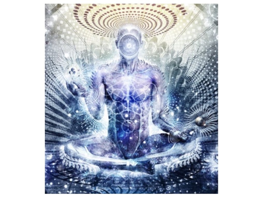 Previous Class: Working Brain Waves For Materialization - Plant Prana ...