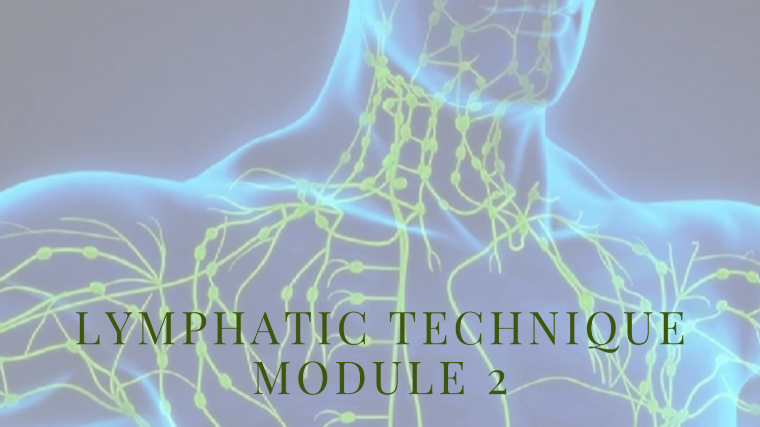 Lymphatic Technique Module 2 - Plant Prana Oils