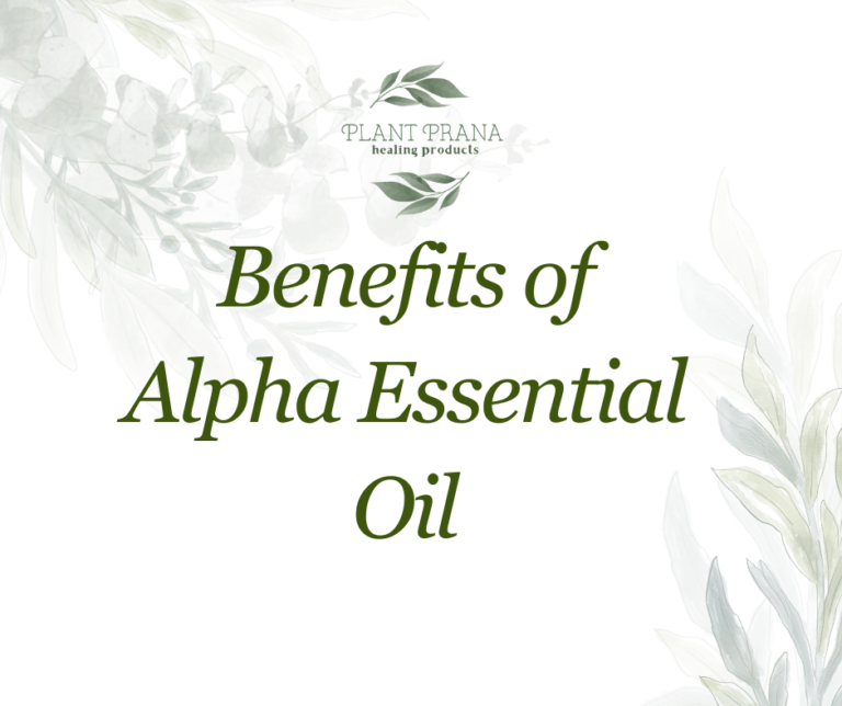 The Benefits of Alpha: - Plant Prana Essential Oils