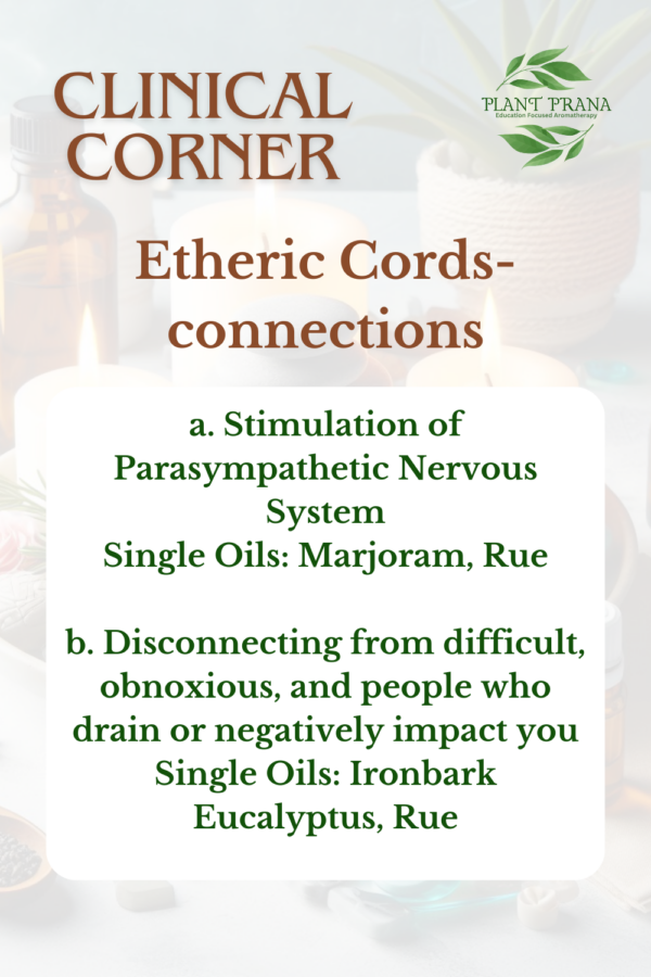 Clinical Corner: Etheric Cords- connections - Plant Prana Oils