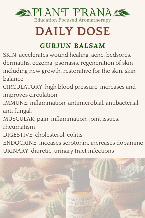 The Benefits of Gurjun Balsam - Plant Prana Oils