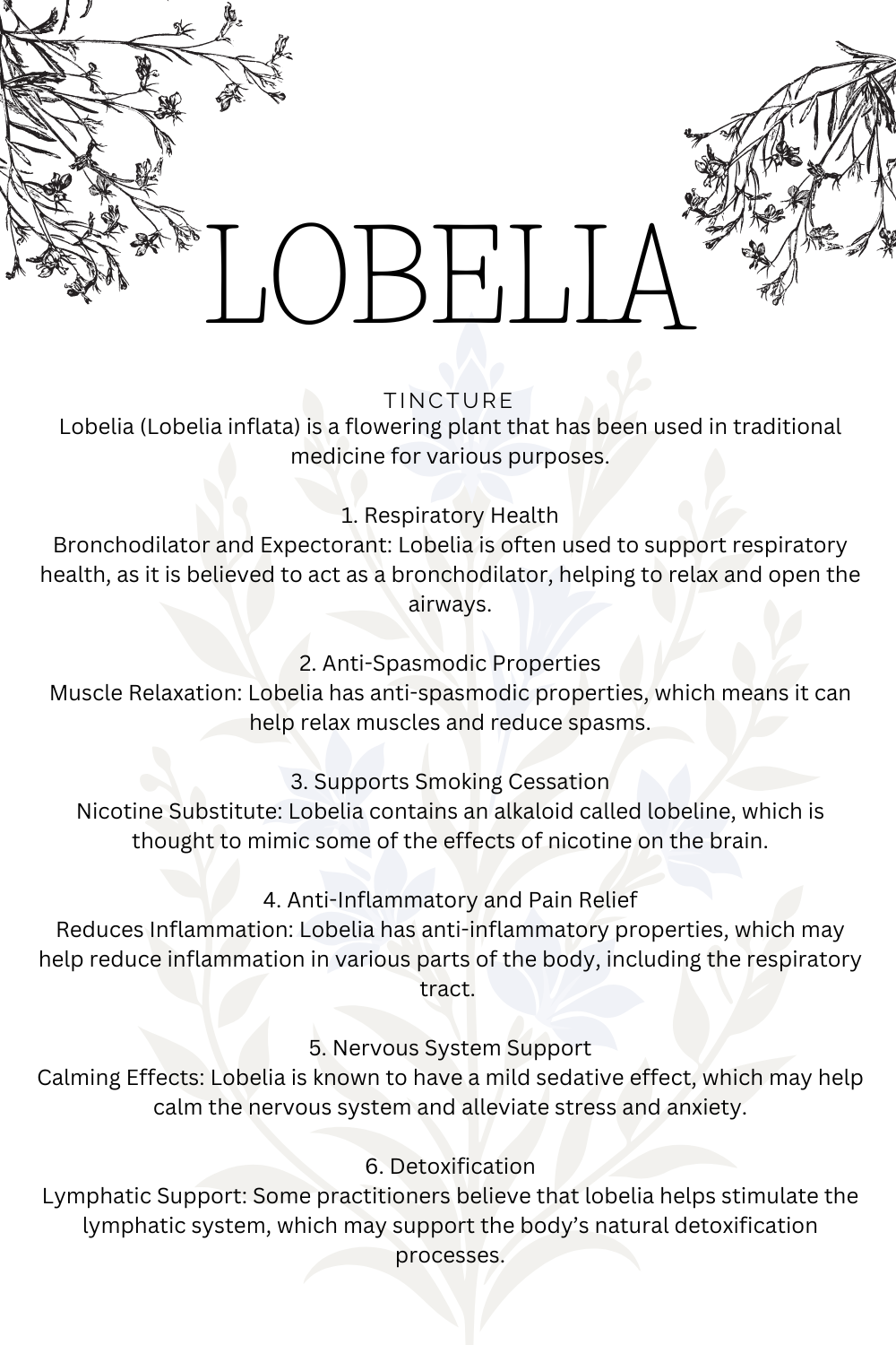 The Benefits of Lobelia - Plant Prana Oils