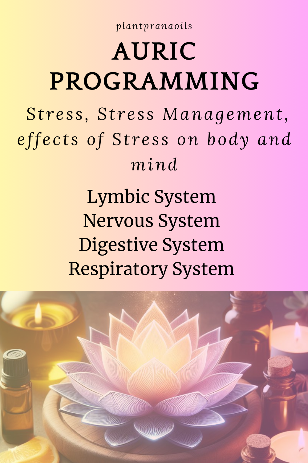 Auric Programming: Stress, Stress Management, Effects of Stress on the ...