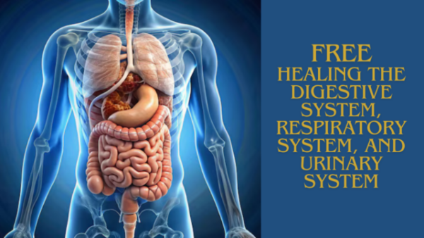 Free Healing the Digestive System, Respiratory System, and Urinary ...