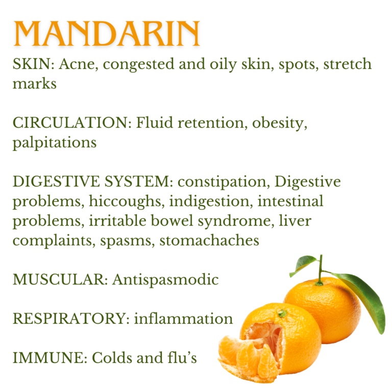 The Benefits of Mandarin - Plant Prana Oils