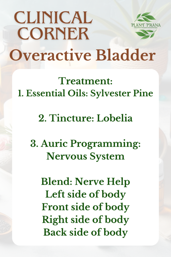Clinical Corner: Overactive Bladder - Plant Prana Oils