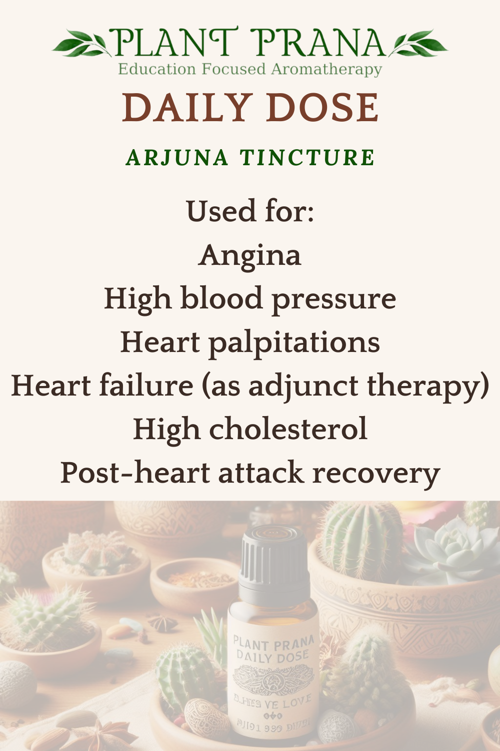 The Benefits of Arjuna - Plant Prana Oils