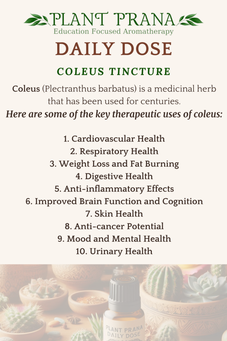 The Benefits of Coleus - Plant Prana Oils