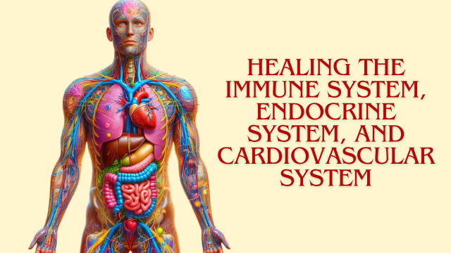 Previous Class: Healing the Immune System, Endocrine System and ...