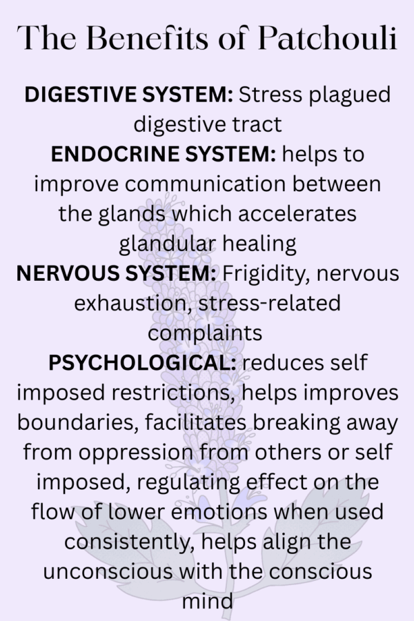 The Benefits of Patchouli - Plant Prana Oils