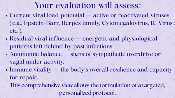 Viral Dysregulation: The Hidden Stress - Plant Prana Oils