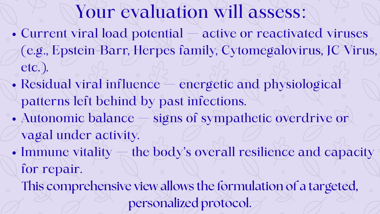 Viral Dysregulation: The Hidden Stress - Plant Prana Oils