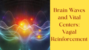 Brain Waves and Vital Centers: Vagal Reinforcement - Plant Prana Oils