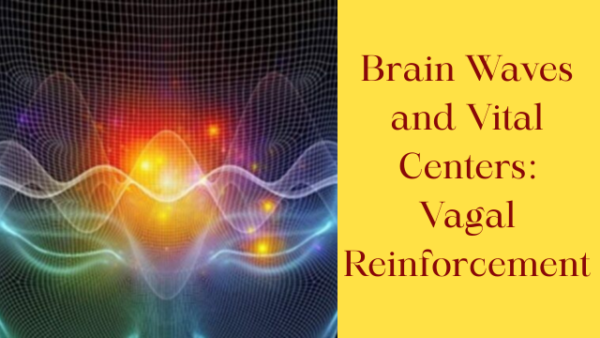 Brain Waves and Vital Centers: Vagal Reinforcement - Plant Prana Oils